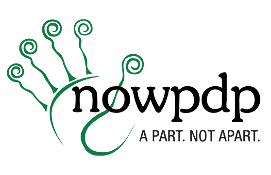 Our Journey | NOWPDP - Leading disability organization in Pakistan