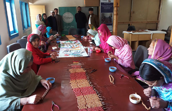 Our Journey | NOWPDP - Leading disability organization in Pakistan